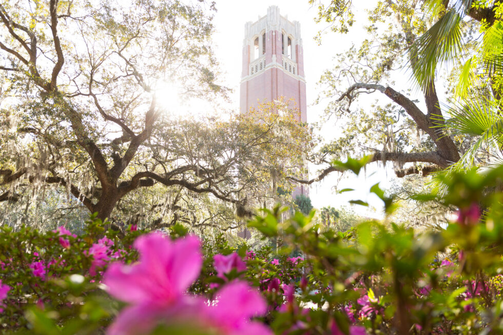 Careers | Lastinger Center for Learning